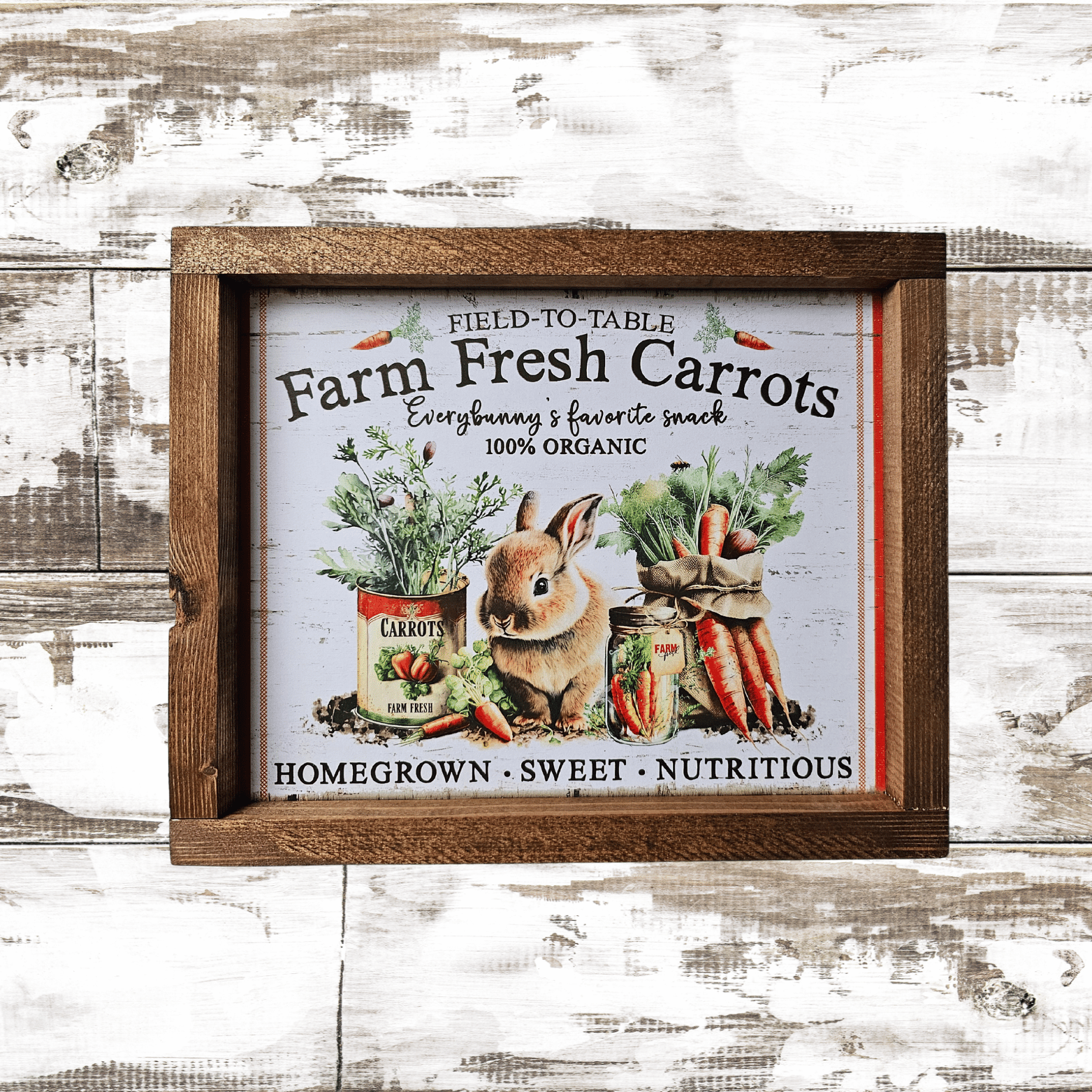Cadre Sign Farmhouse Farm Fresh Carrots - Déco en Bois Vintage